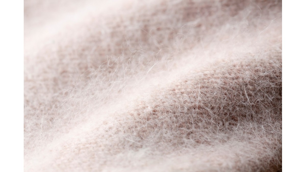 Le cours de la fibre de cachemire en Chine en phase de stabilisation ...